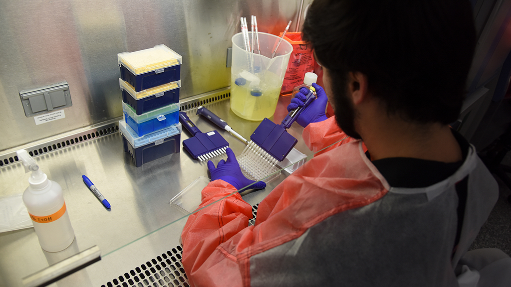 Student Research Opportunities - UGA VetMed