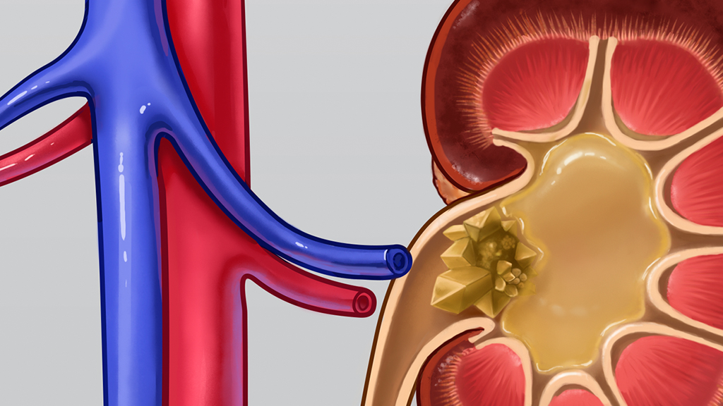 Clinical Pathology & Cytology - UGA VetMed