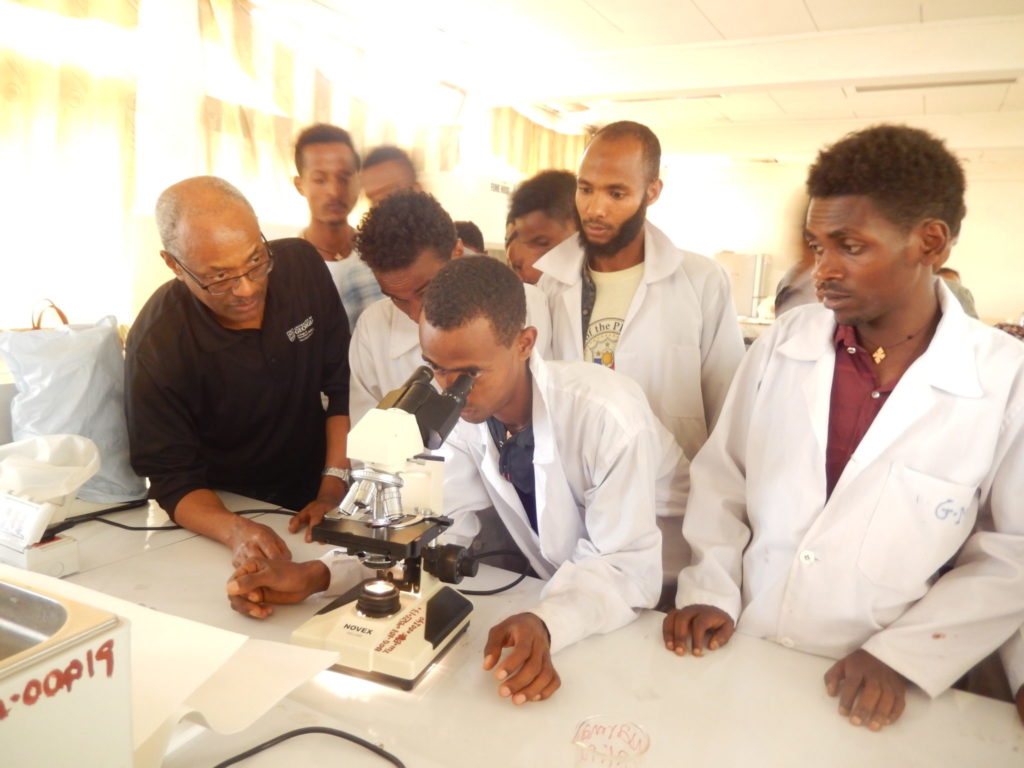 CVM Pathologist Trains Future Veterinary Pathologists in Ethiopia ...