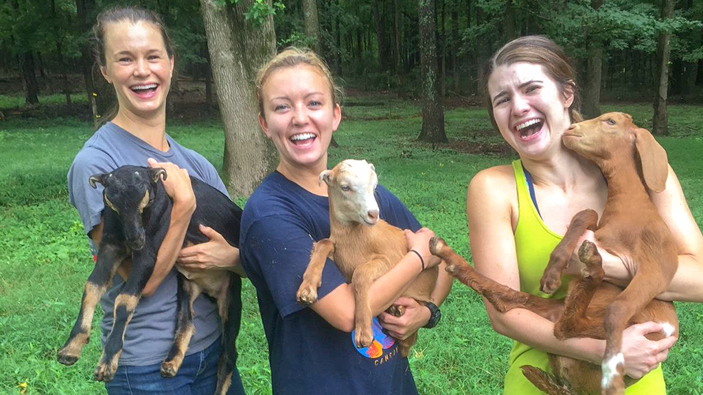Student Clubs & Organizations - UGA College of Veterinary Medicine