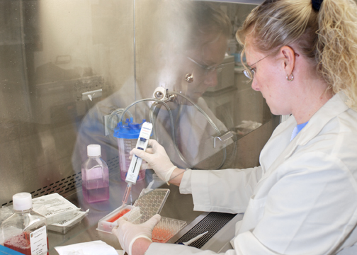 Current Student Resources - UGA VetMed