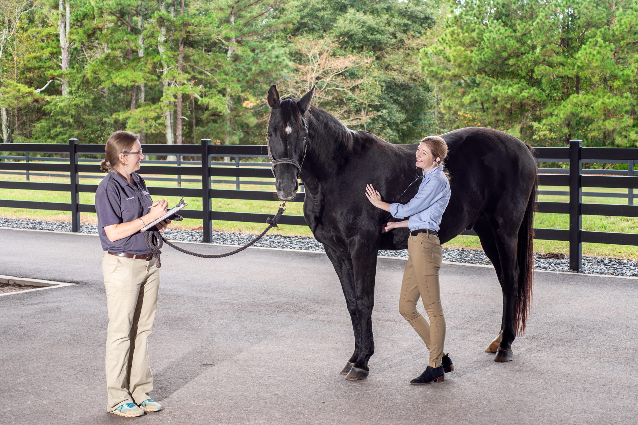 Intern & Residency Programs - University of Georgia College of ...