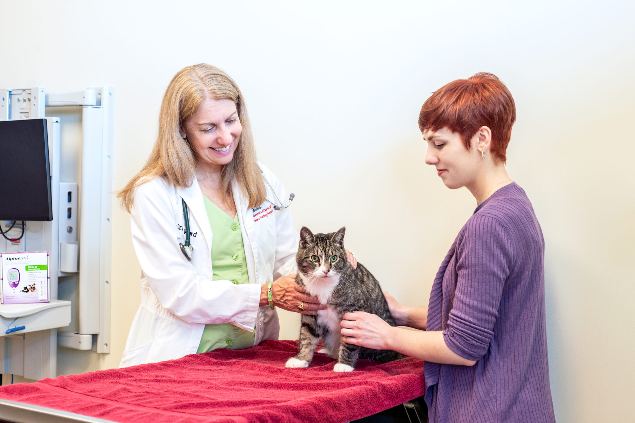 Small Animal Intern & Residency Programs - University of Georgia ...