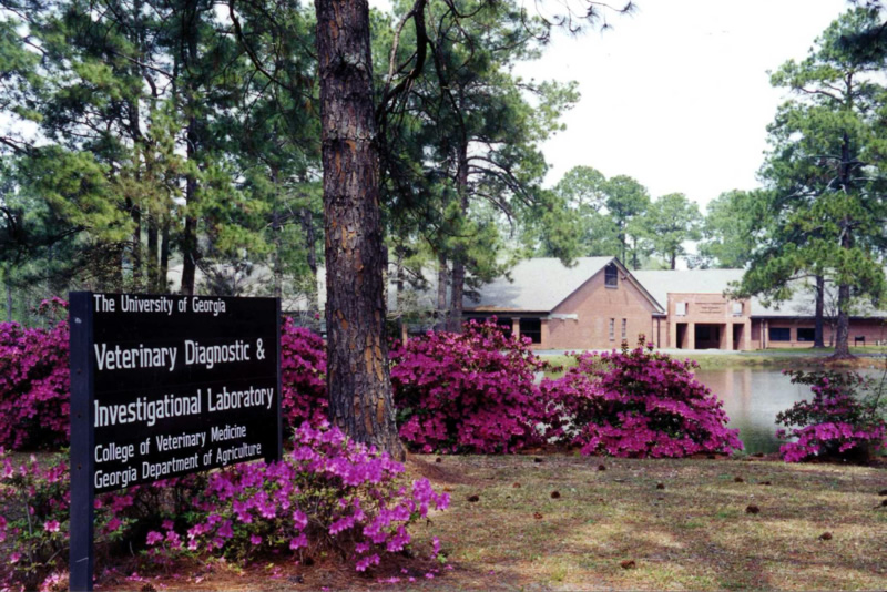 Tifton Services - UGA VetMed