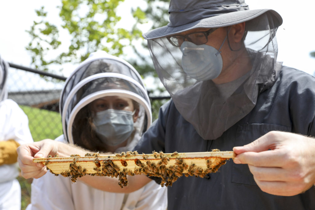 New beehives added for veterinary training - University of Georgia ...
