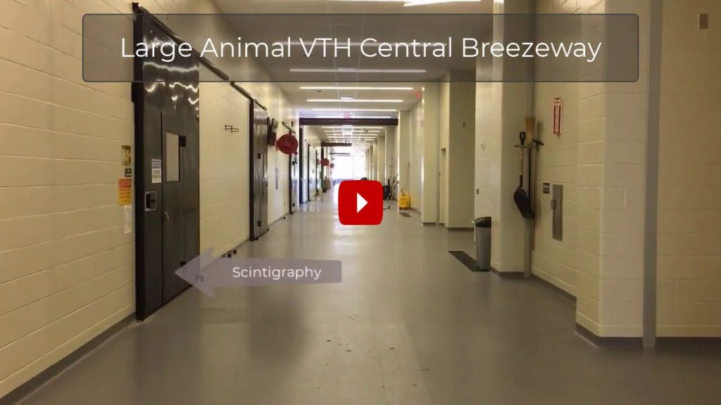 Large Animal Facilities Tour - UGA VetMed