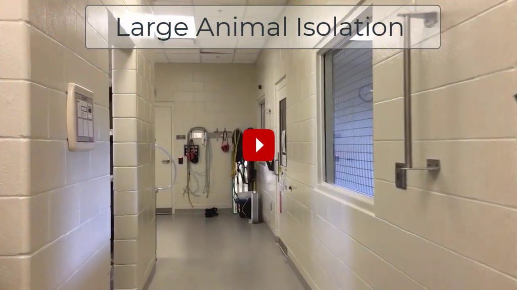 Large Animal Facilities Tour - UGA VetMed
