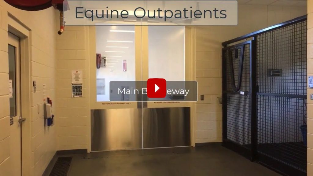 Large Animal Facilities Tour - UGA VetMed
