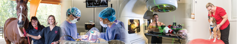 Resources - University of Georgia College of Veterinary Medicine