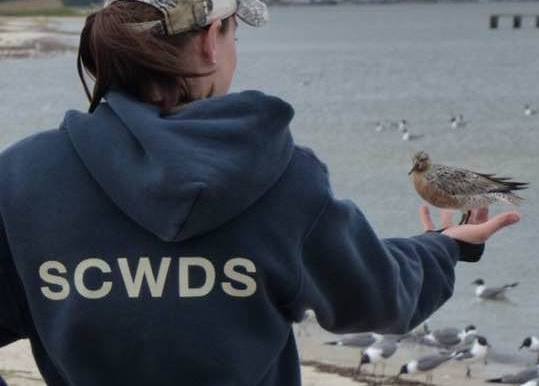 SCWDS Staff - UGA VetMed