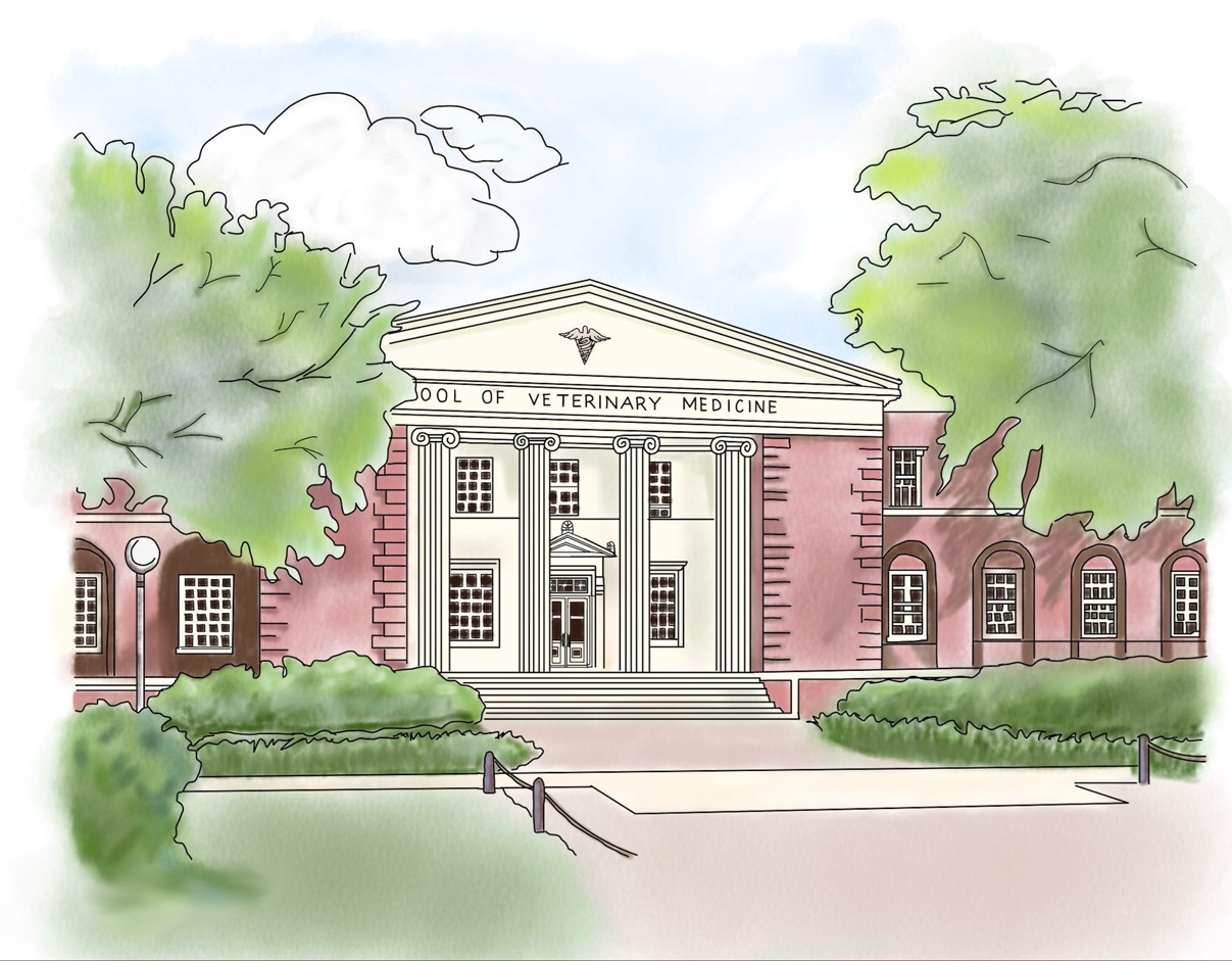 Open House 2023 - University of Georgia College of Veterinary Medicine