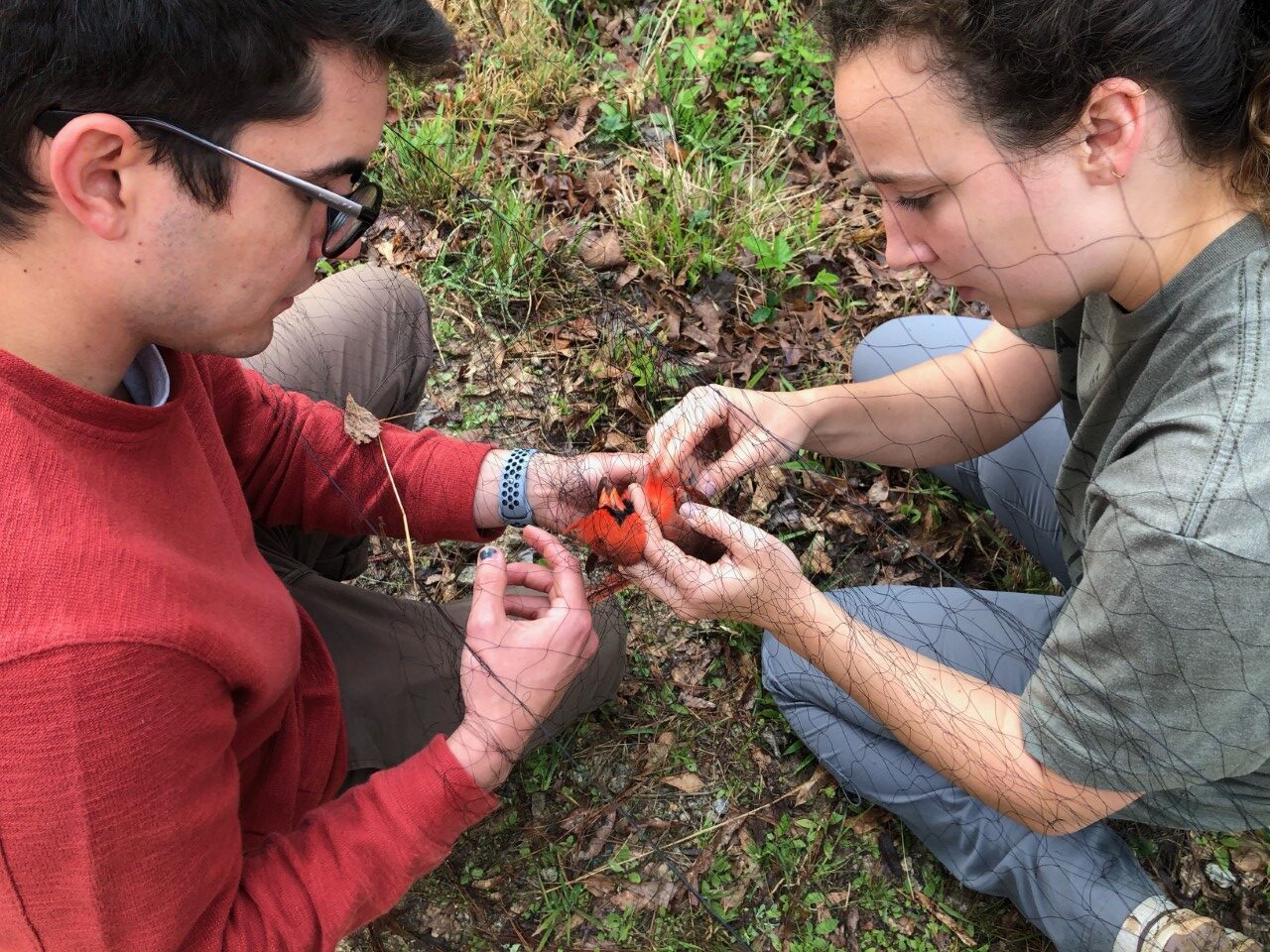 SCWDS Graduate Students - UGA VetMed