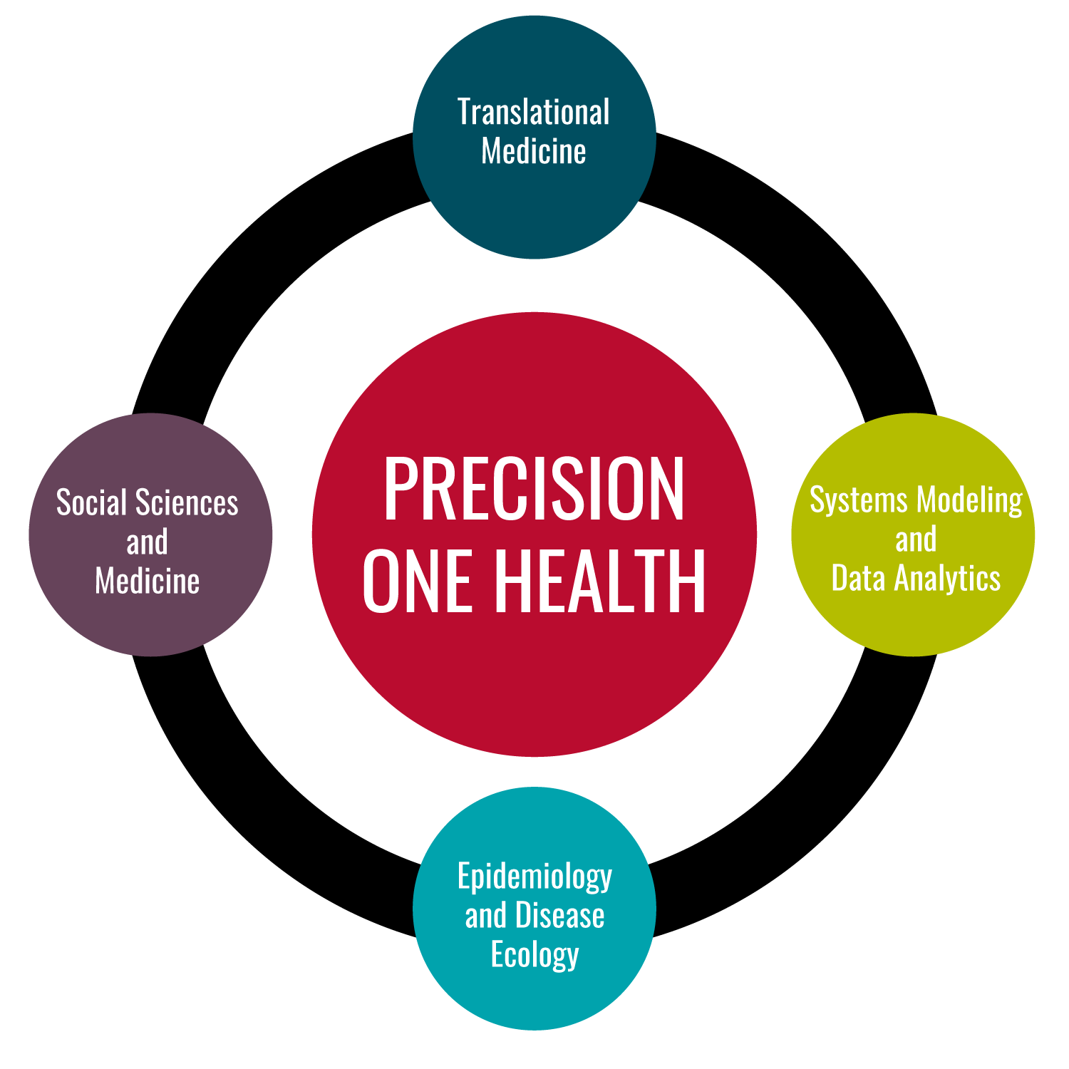 POH Outline - University of Georgia College of Veterinary ...