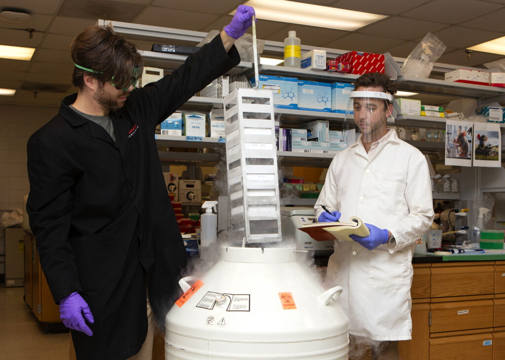 Department of Physiology & Pharmacology - UGA VetMed