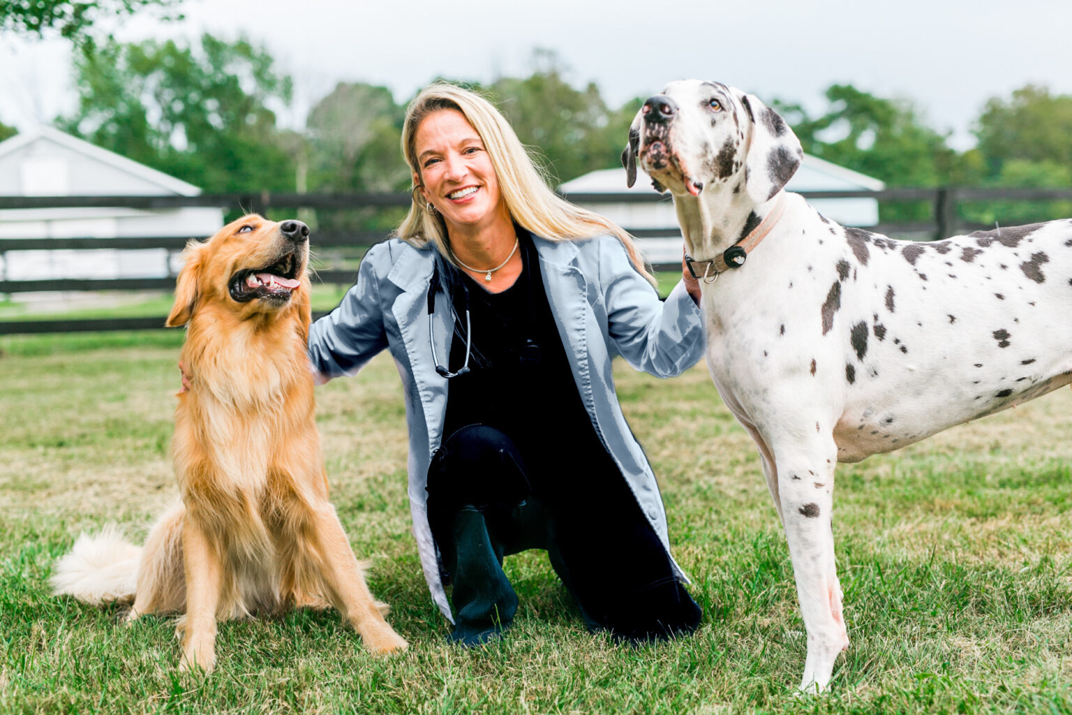 Home - University of Georgia College of Veterinary MedicineUniversity ...