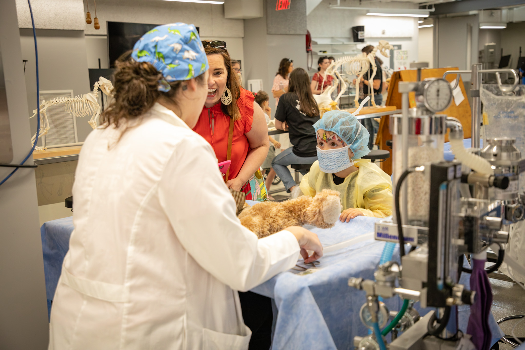 Inspiring Future Veterinarians: UGA's Annual Open House Tradition ...