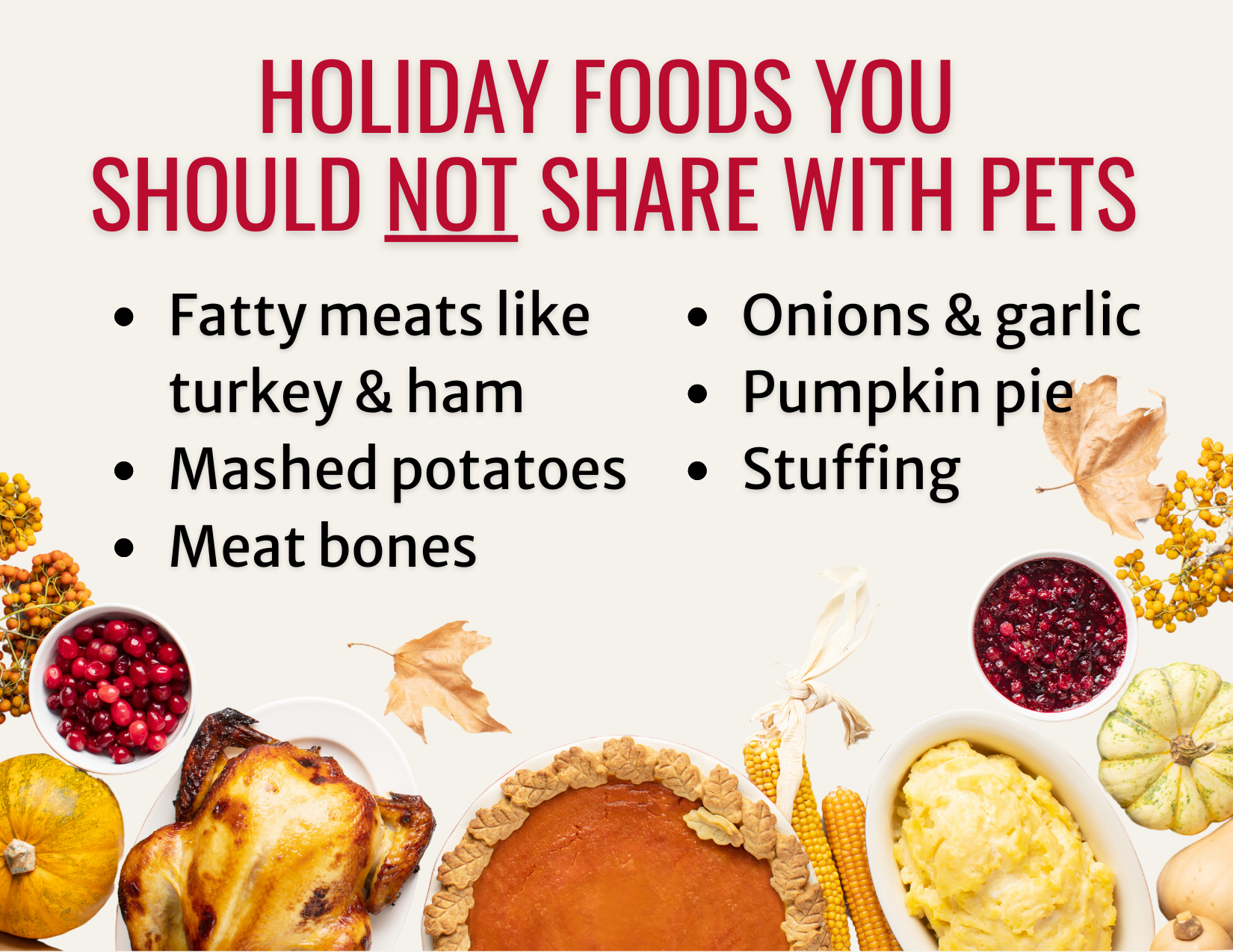 Pet Health Resources from UGA VetMed