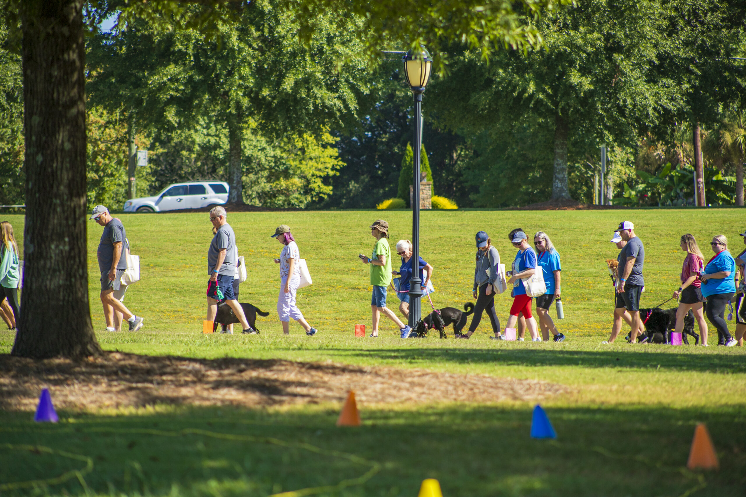 Rainbow Bridge Walk - UGA VetMed